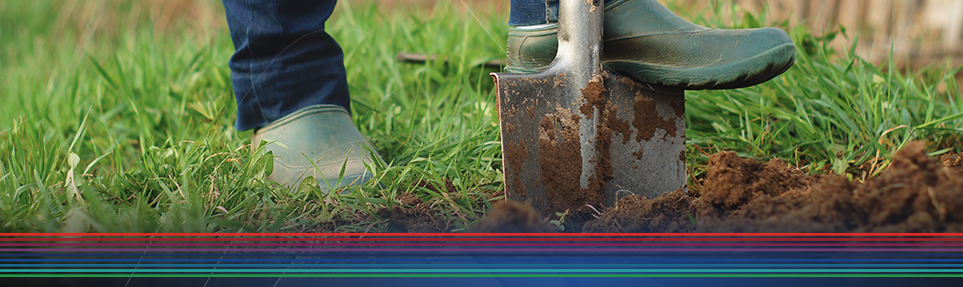 Call before you dig